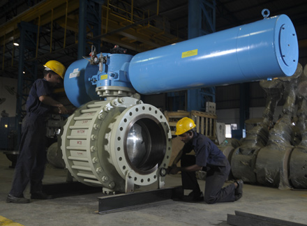 Valves - Petro Vision Group