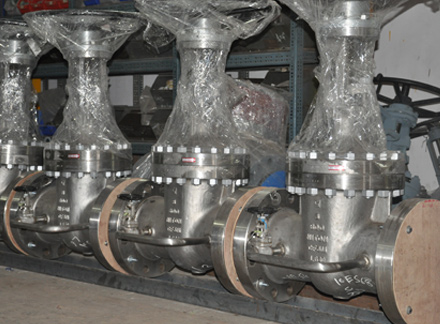 Valves - Petro Vision Group